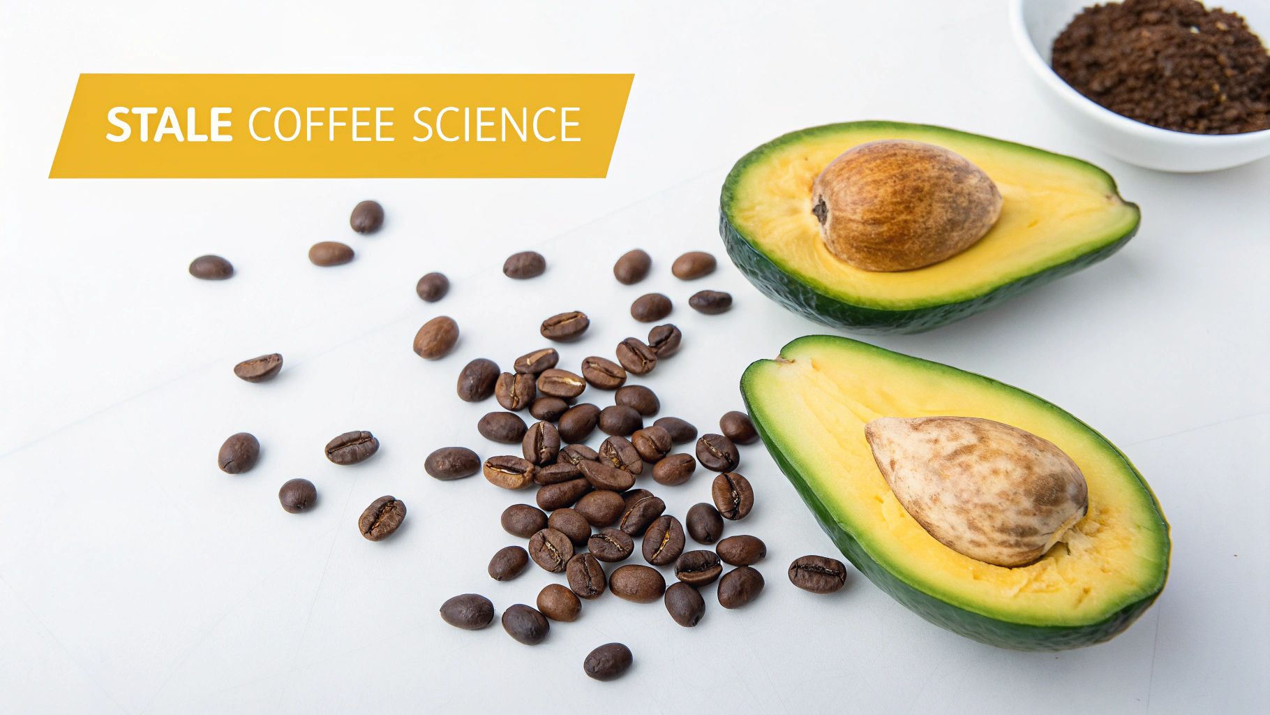 Does coffee go bad: How long it lasts and storage tips – Cartograph Coffee