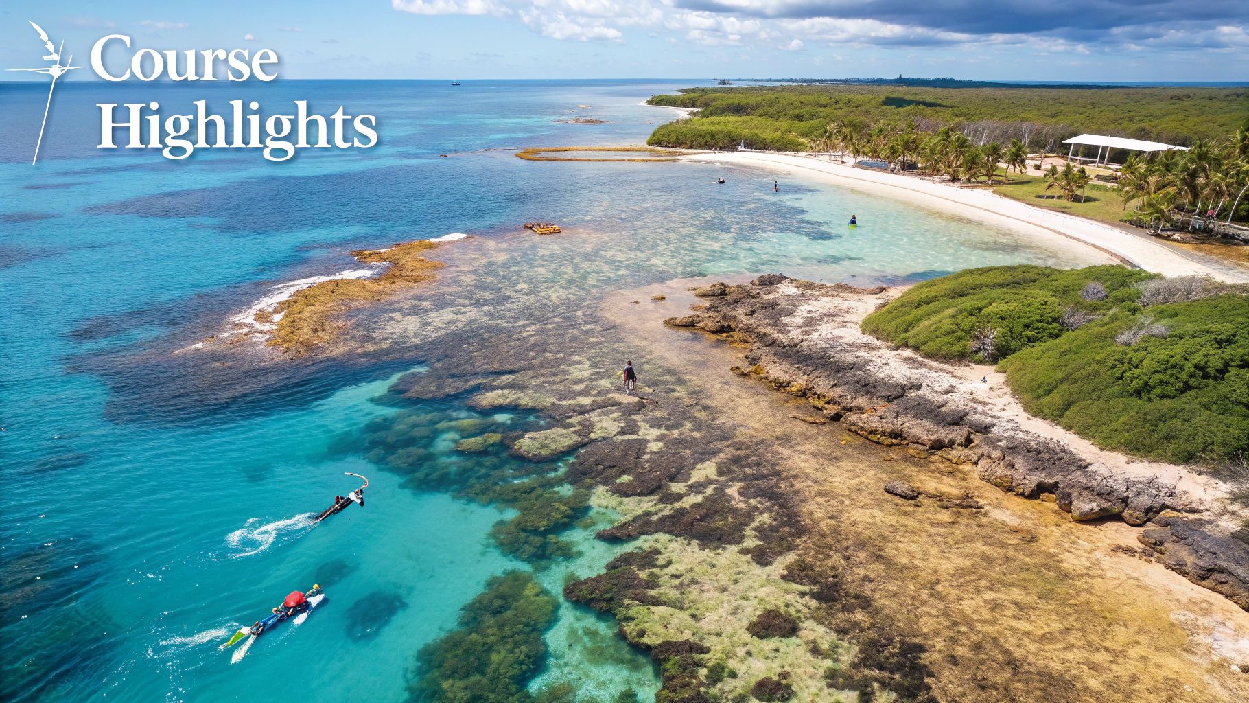 Snorkeling Marathon FL: Top Reefs & Tips for Your Adventure - Marathon ...