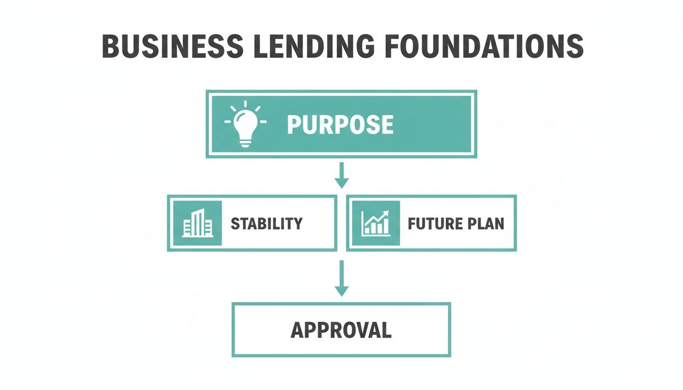 Guide to Business Loan Requirements in Australia – Everglow Prosperity