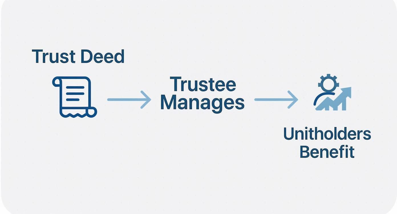 What is a Unit Trust in Australia? A Practical Guide