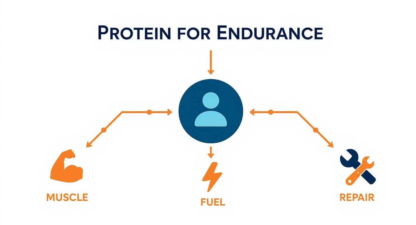 Protein Powder for Endurance Athletes - Peak Performance