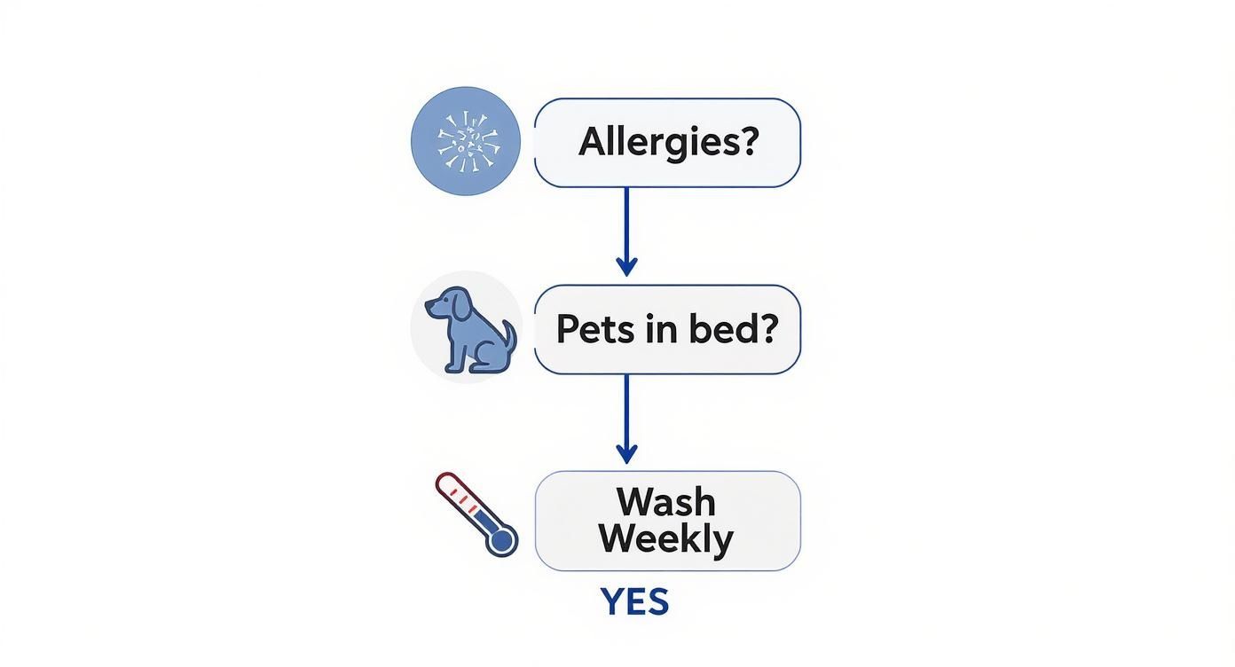 How Often to Wash Bed Sheets: A Quick, Practical Guide