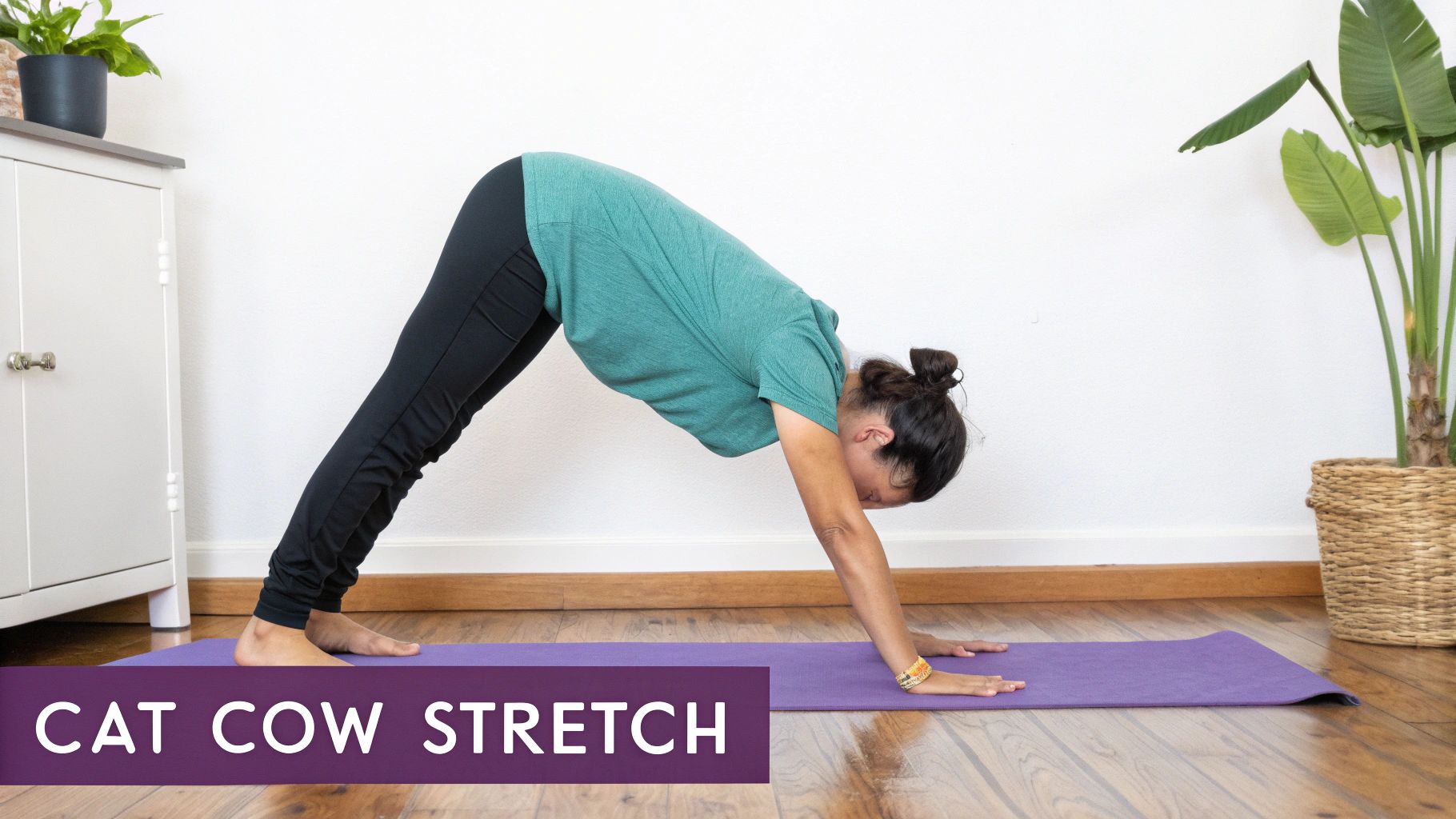 Top 7 Best Exercises for Herniated Disc Relief