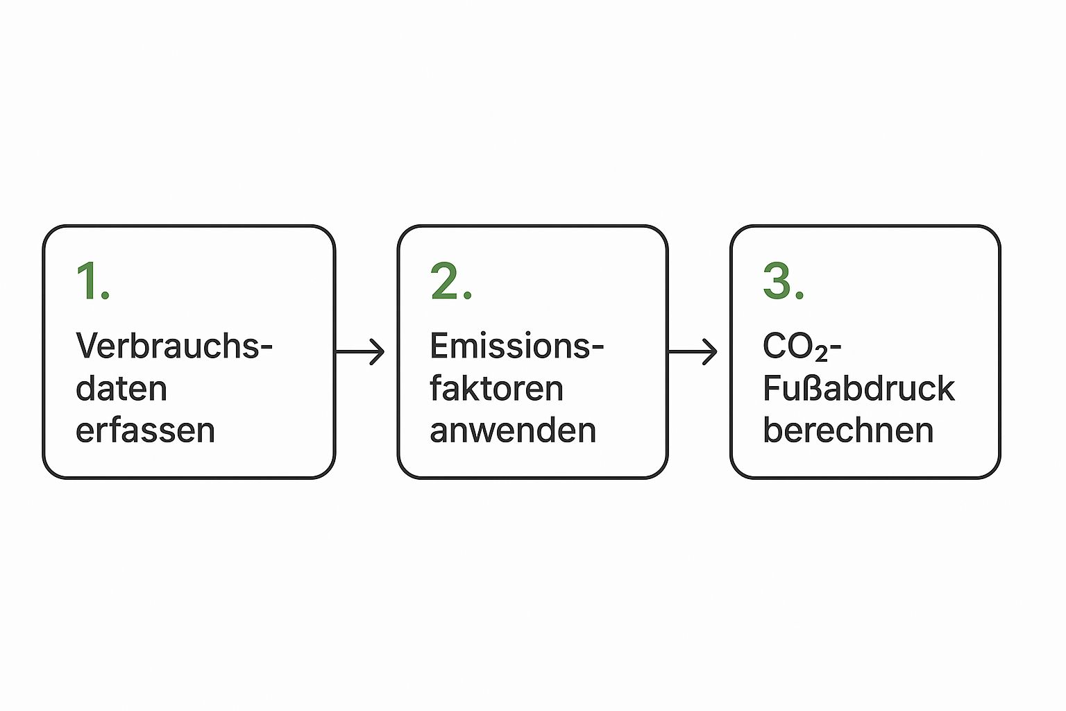 CO2 Fußabdruck berechnen: Leitfaden für Unternehmen - Click A Tree