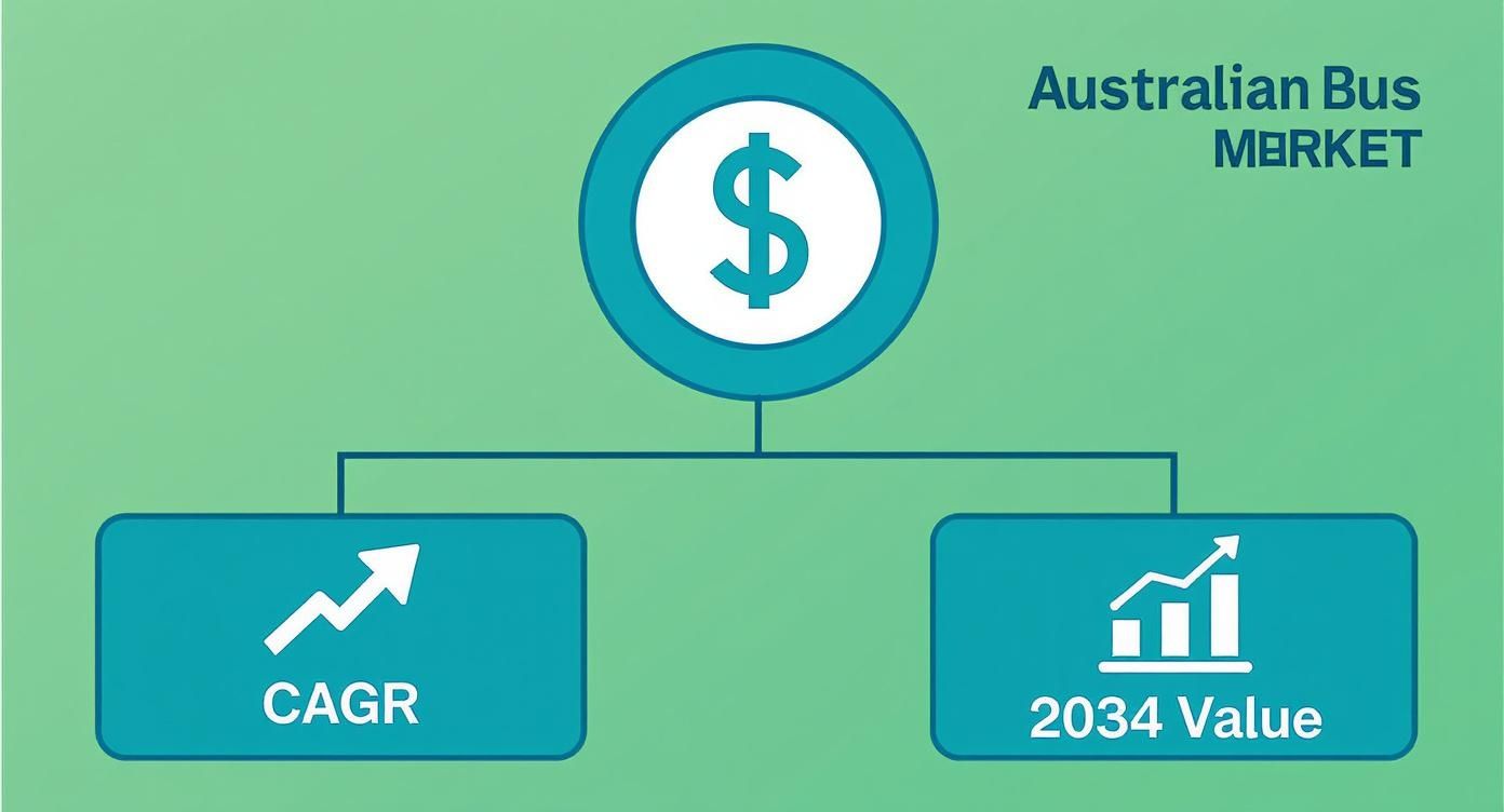 A Guide to the Bus Fleet Australia Relies On