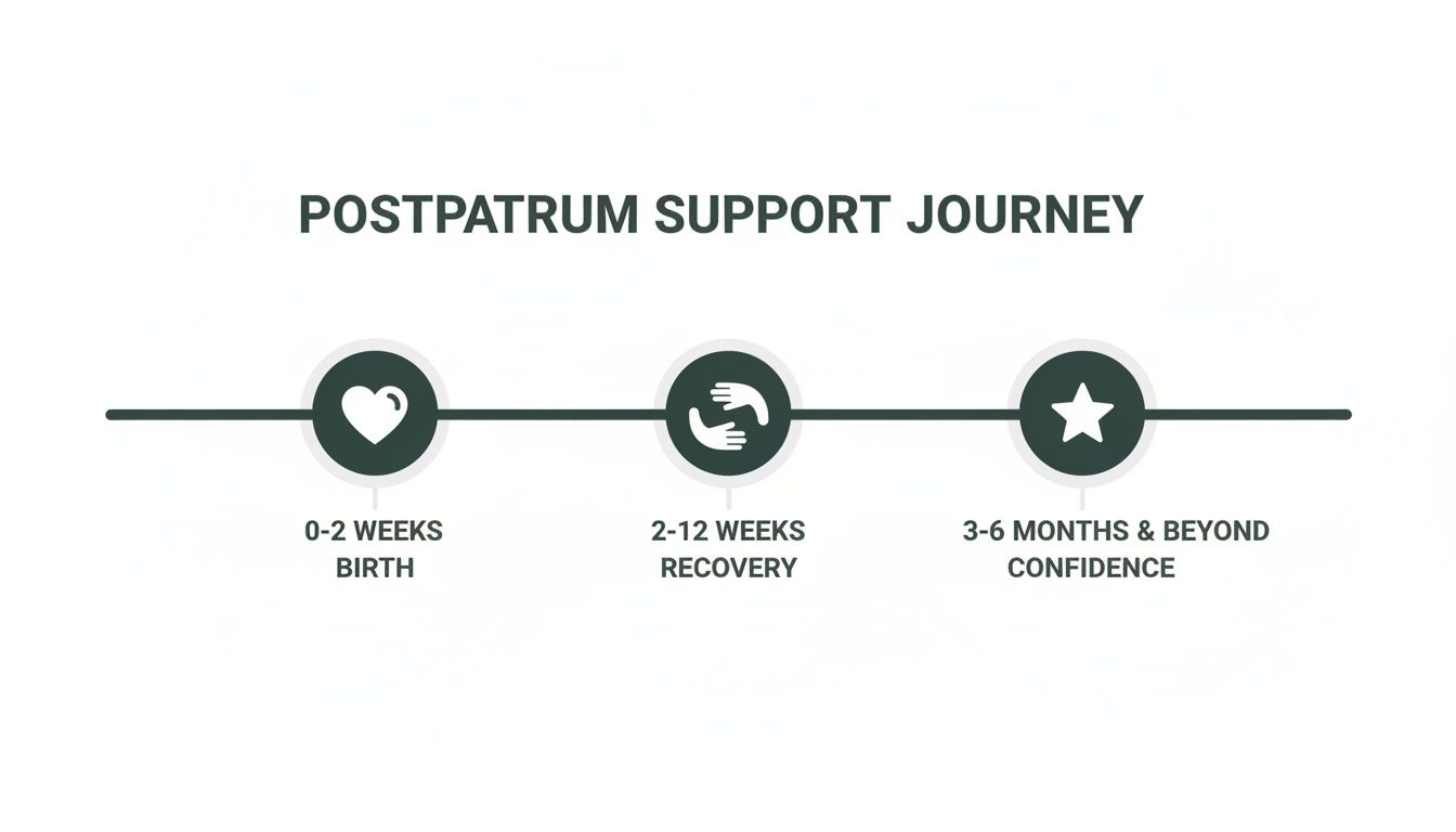 Postpartum Belly Wrap Benefits A New Mom's Guide to Recovery