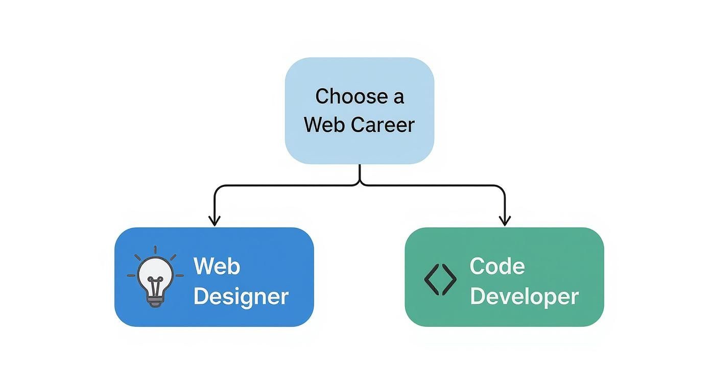 Web Design vs Web Development Which Path Is Right for You - OneNine