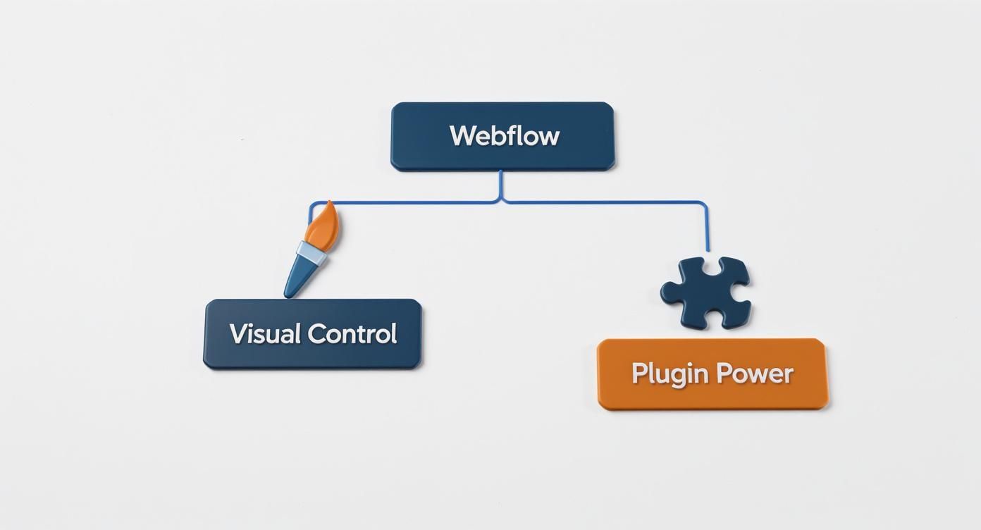 Webflow vs WordPress Which Is Best for Your Website - OneNine