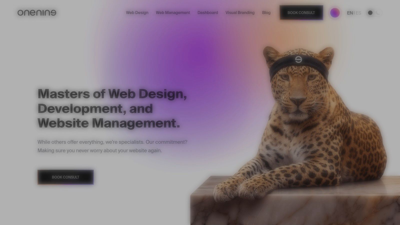 7 Modern Website Examples That Set the Standard in 2025 - OneNine