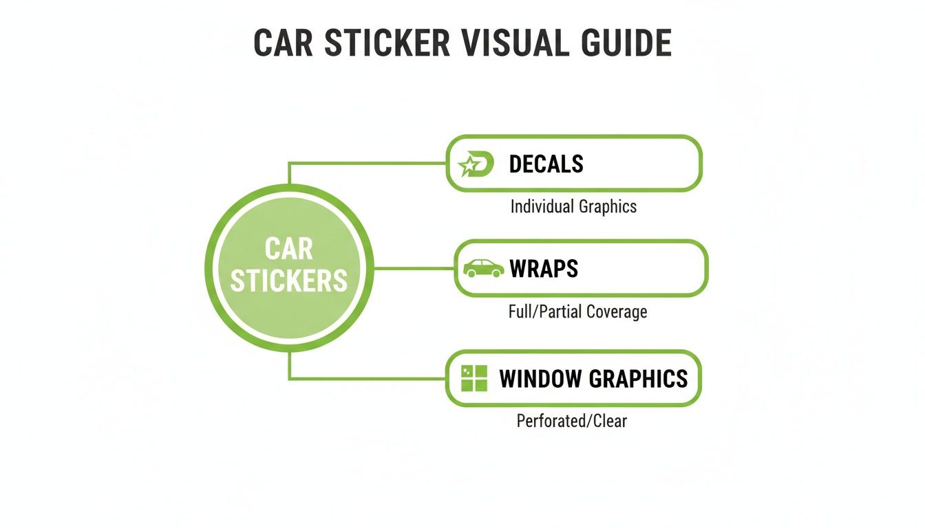 Your Ultimate Guide to Stickers for Cars NZ