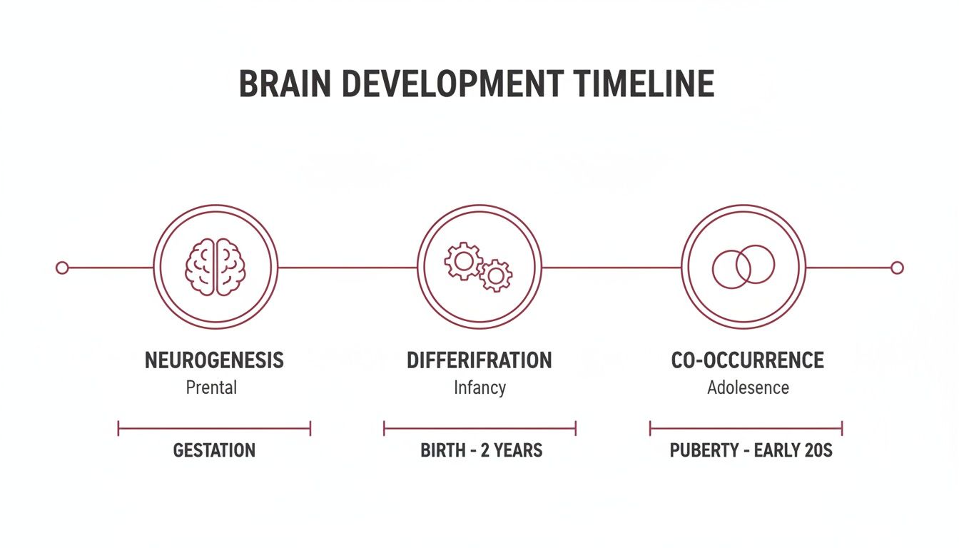 Autism vs ADHD A Guide to Symptoms and Diagnosis | Sachs Center ...