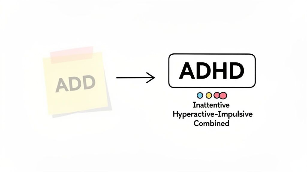 ADD vs ADHD Unpacking the Modern Diagnostic Landscape | Sachs Center ...