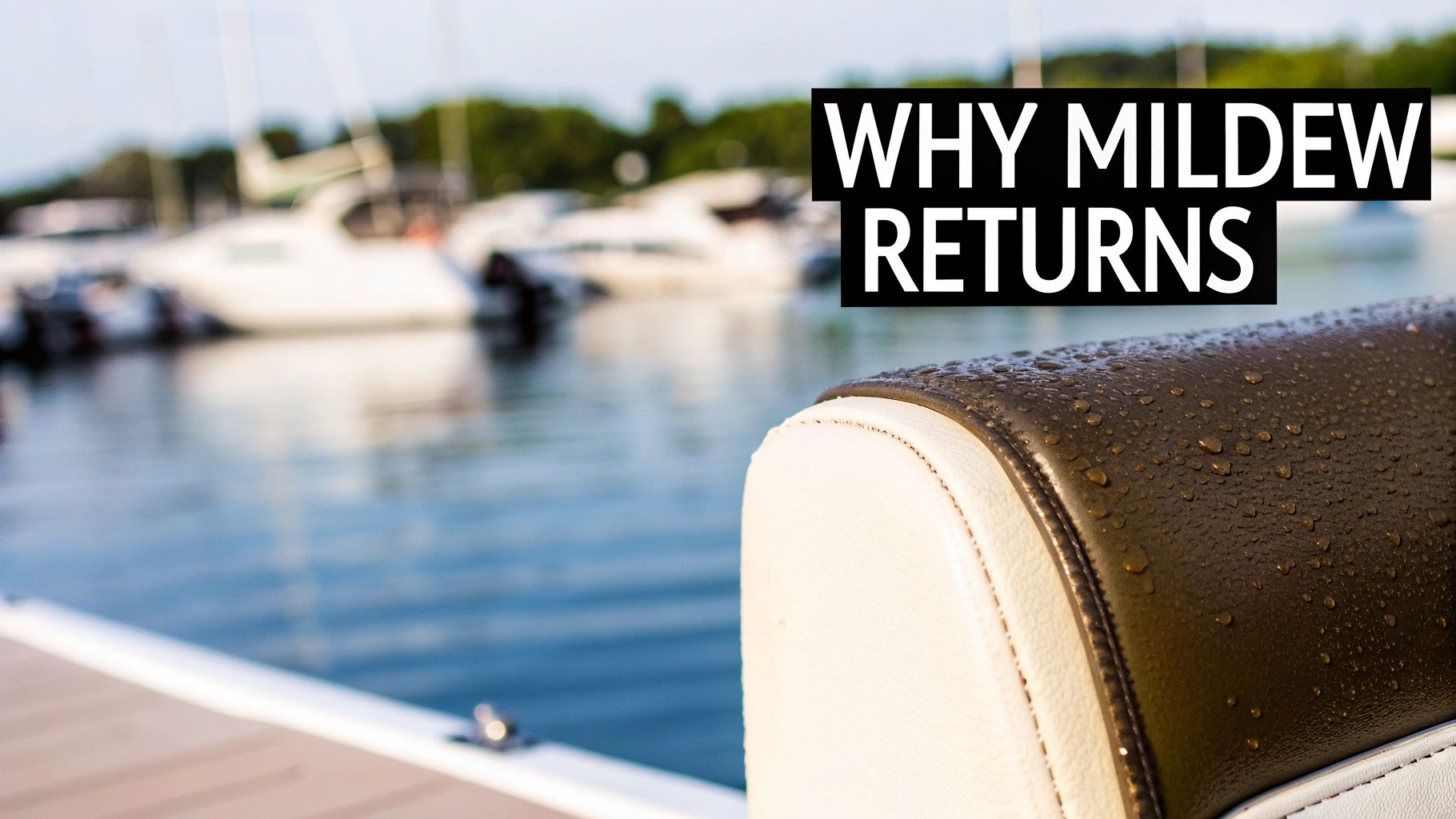 A Boat Owner's Guide to Cleaning Mildew From Boat Seats – Boat Juice