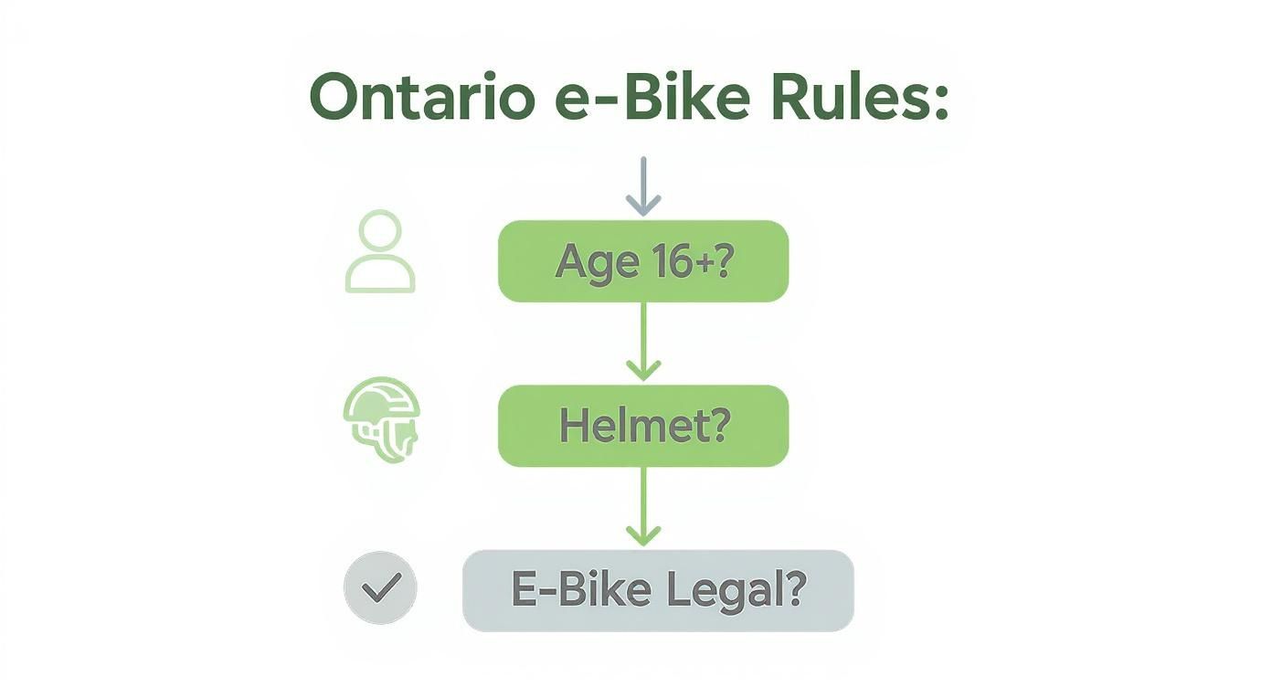 Your Simple Guide to Electric Bike Laws in Ontario