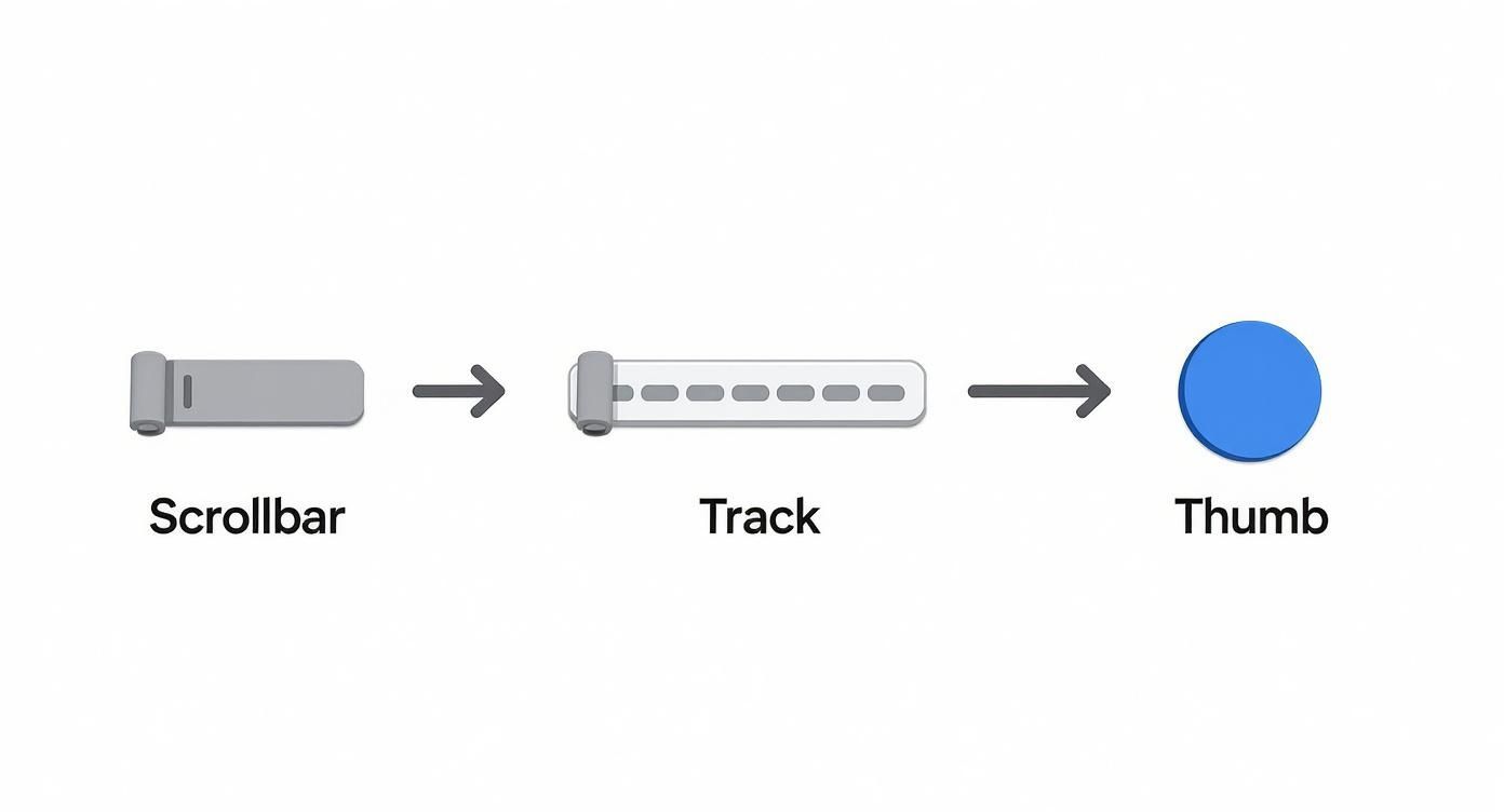 Mastering CSS Style Scrollbar Customization