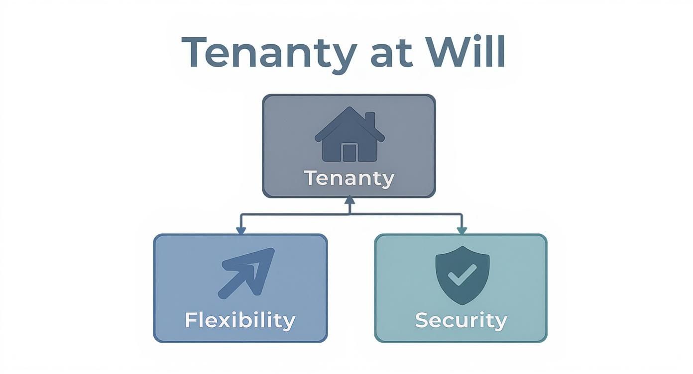 What Is Tenancy At Will? A Landlord’s Practical Guide – TitleTrackr
