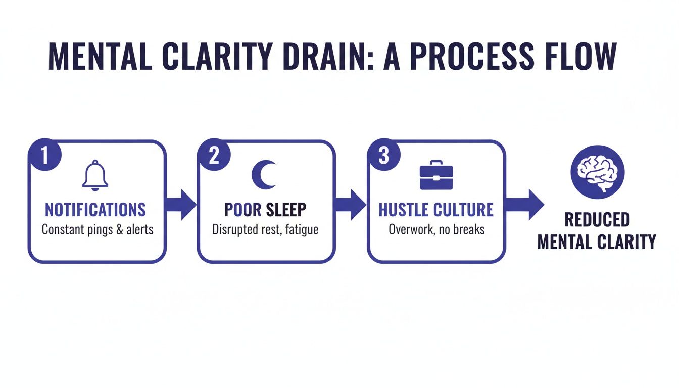 Finding Your Mental Clarity in a World of Noise