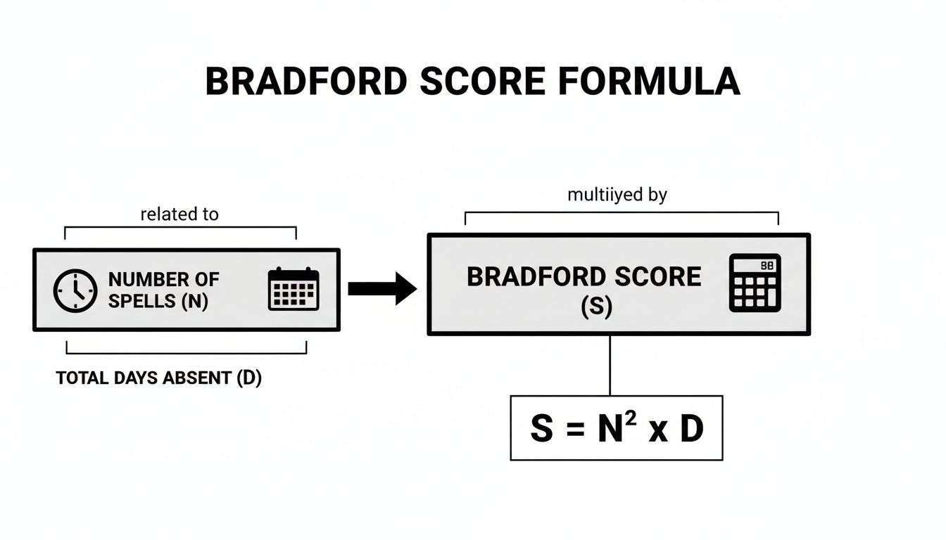 How Does the Bradford Score Work A Practical Guide for UK Managers ...