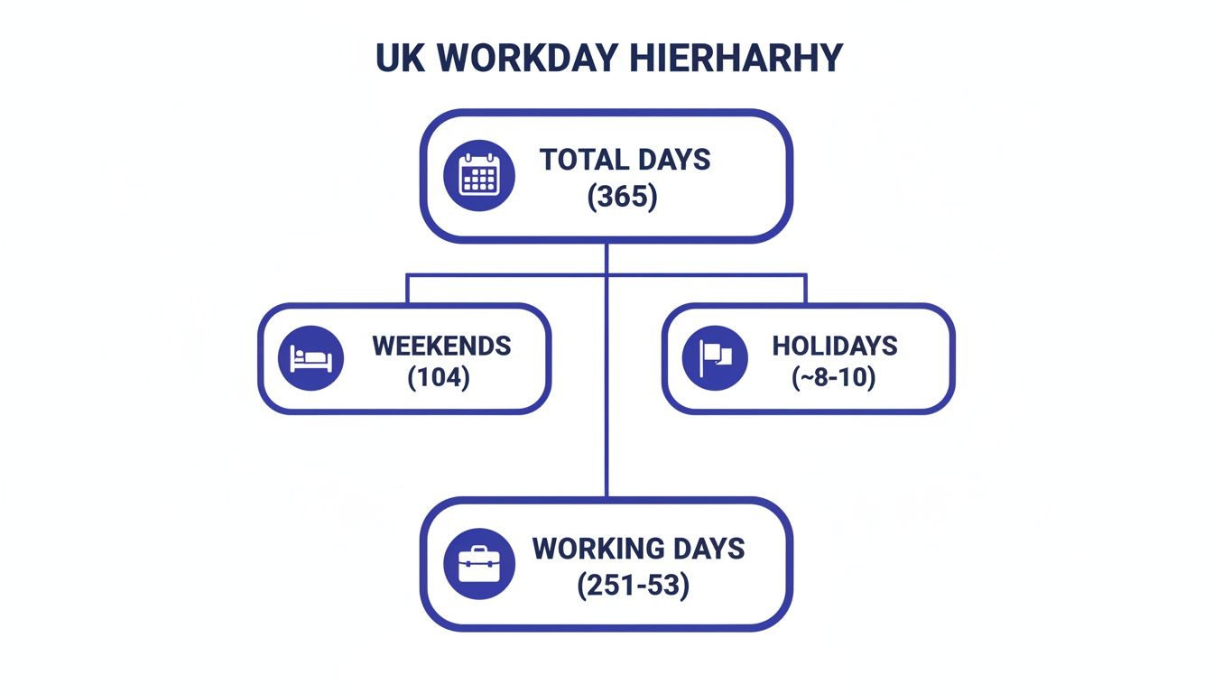 UK Work Year Calculation: Public Holidays, Leap Years & Planning