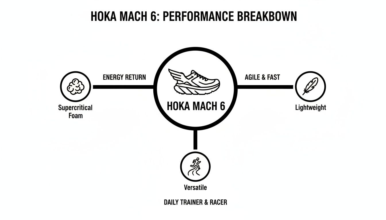 Hoka Mach 6 Review: A Detailed Look At Comfort And Versatility