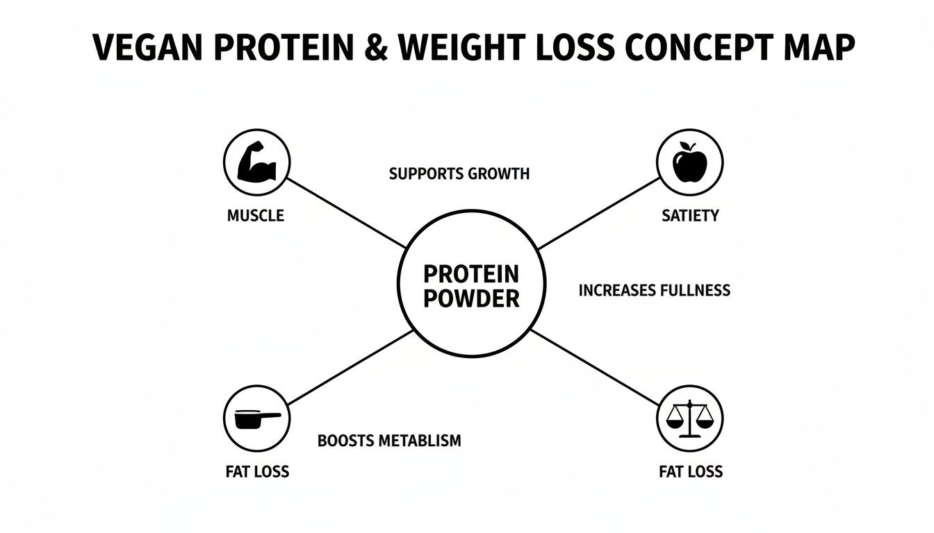 Finding the Best Vegan Protein Powder for Weight Loss