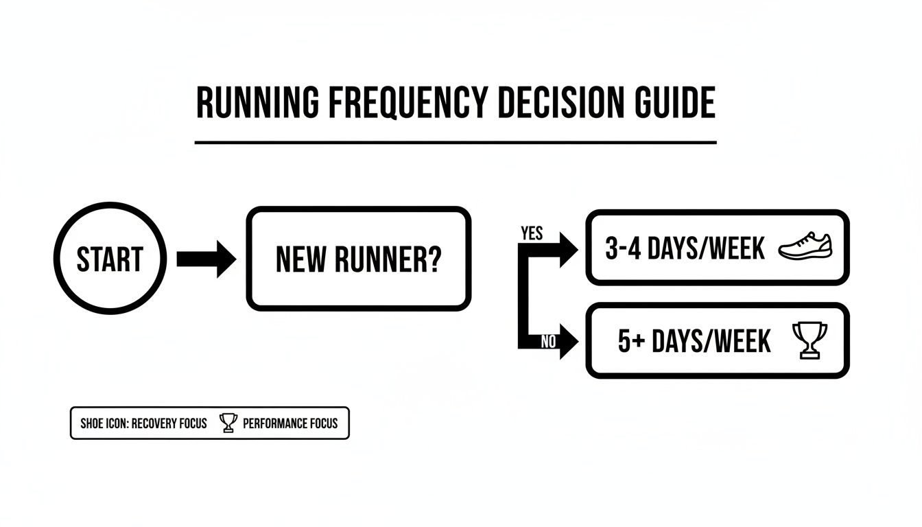 Guide: How Many Times A Week Should I Run? A Practical Plan For Every Level