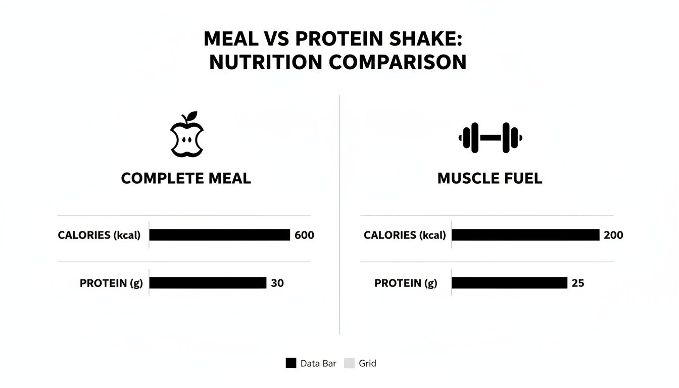 Meal Replacement Shakes vs Protein Shakes: Which Is Best for Your Goals?