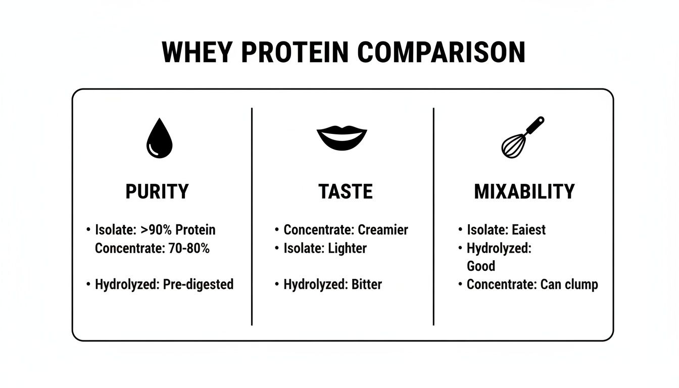 Best Whey Protein Powders for Muscle Gain Revealed