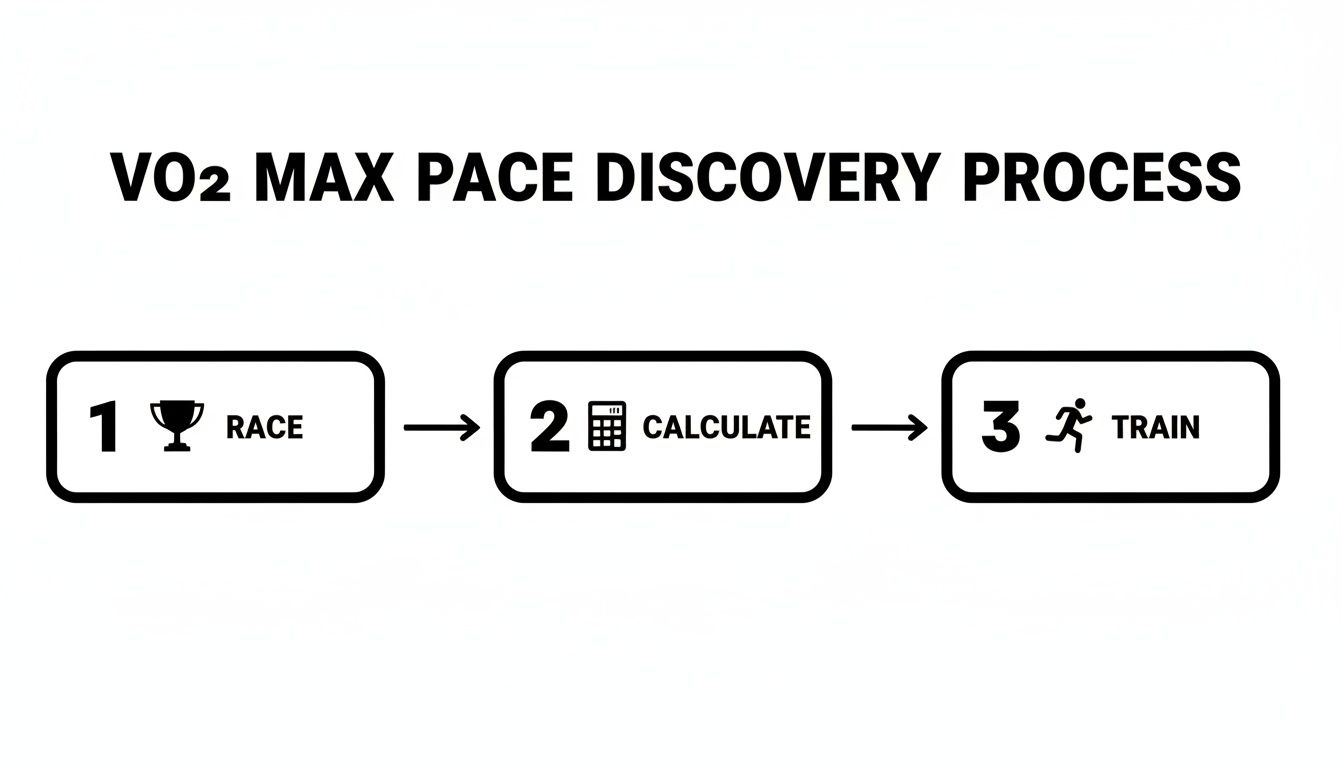 VO2 Max Running Workouts To Unlock Your Speed
