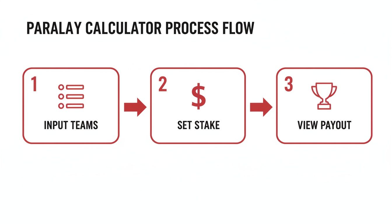 Your Guide To The Parlay Calculator Round Robin