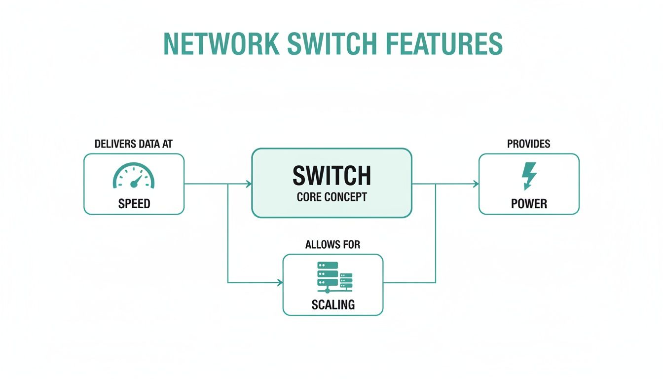 Finding the Best Network Switches for Modern Business WiFi