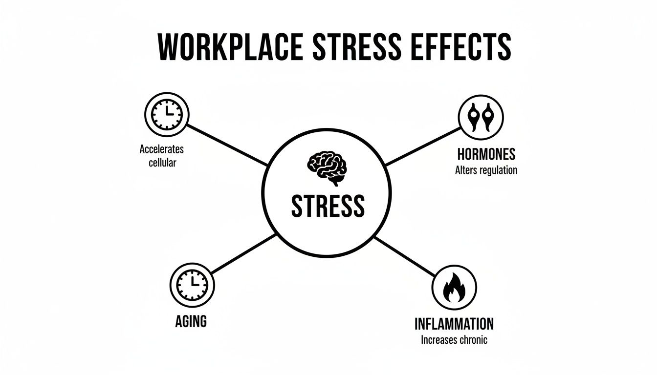 How to Reduce Stress at Work for Better Health and Longevity – Lola Health