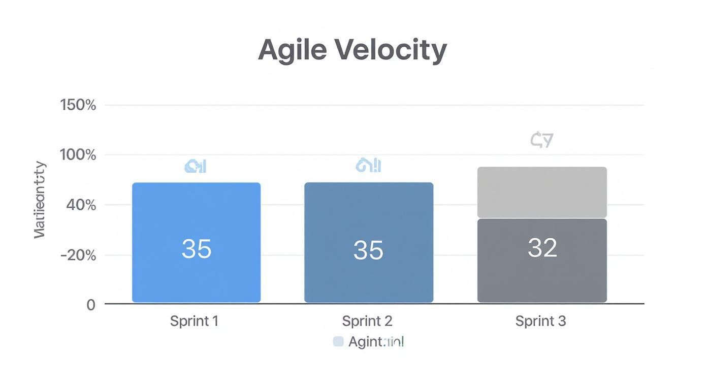 A Guide to Agile Velocity Tracking | Zest