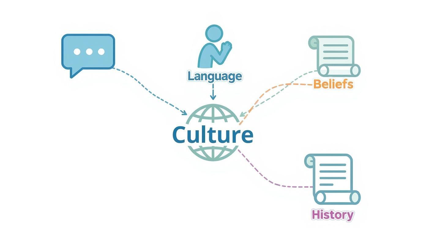 A Guide to the Cultural Regions of the World | EarthChasers Blog ...