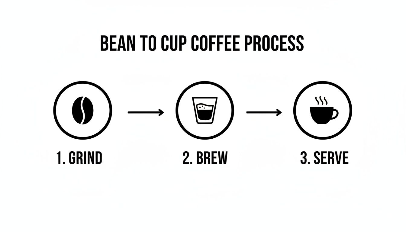 Elevate Your Workplace with a Bean to Cup Coffee Machine Office – Ue ...