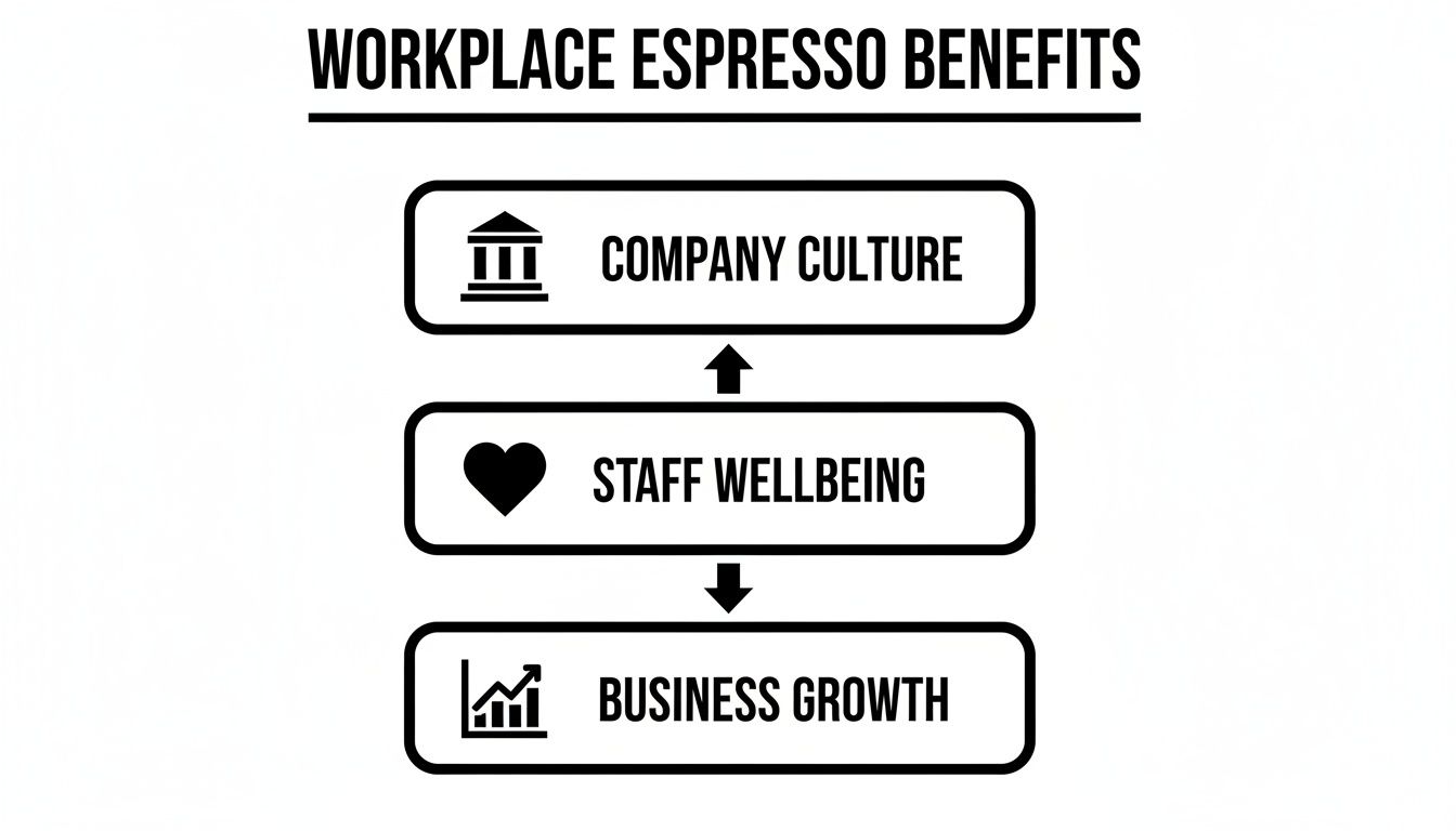 Finding the Perfect Coffee for Espresso in Your Office – Ue Coffee Roasters
