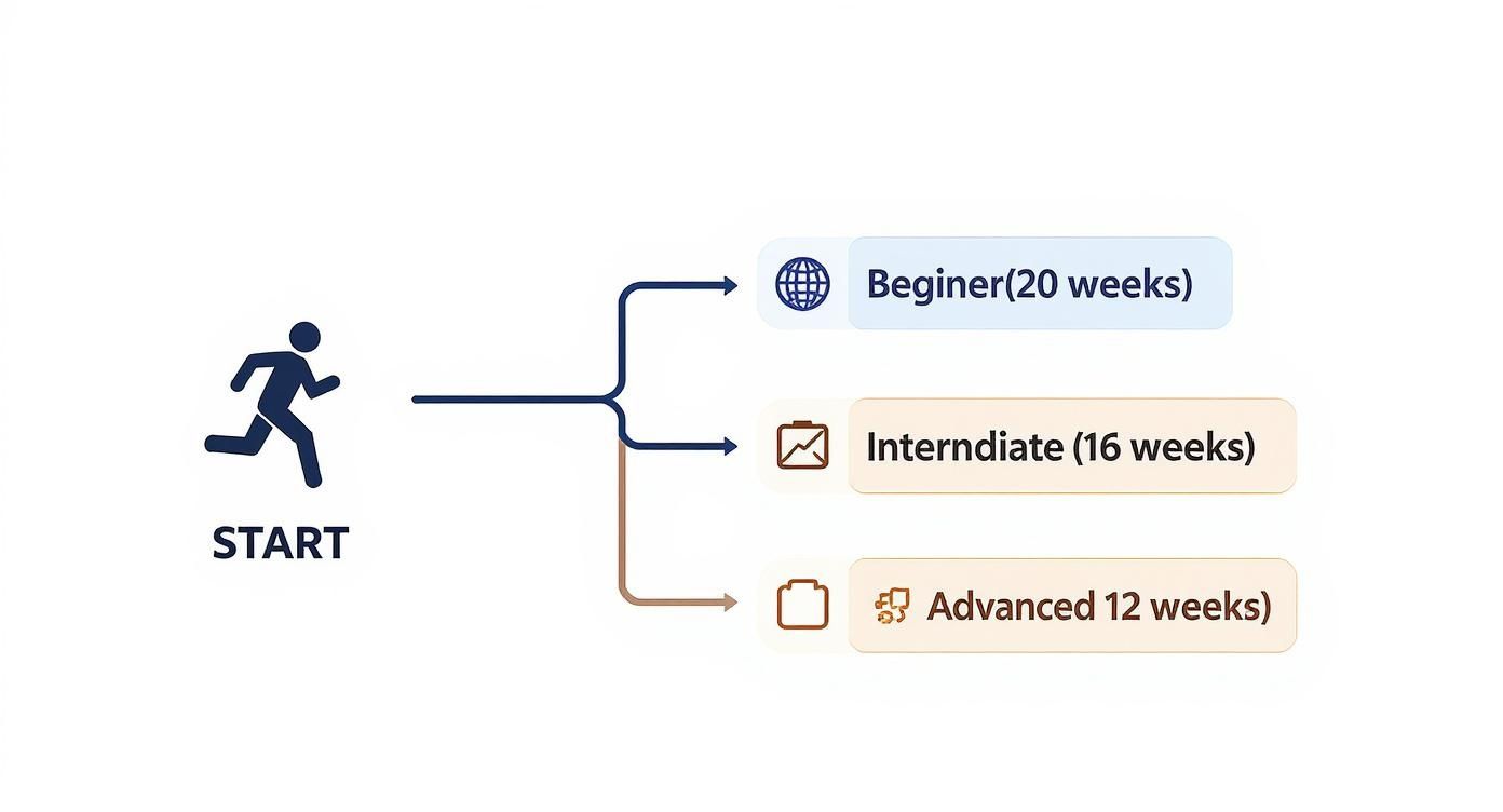 How Long to Train for a Marathon: Your Definitive Guide – Swift Running