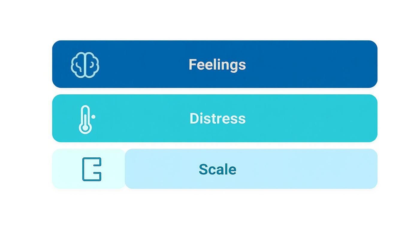 What Is the Subjective Units of Distress (SUDS) Scale?
