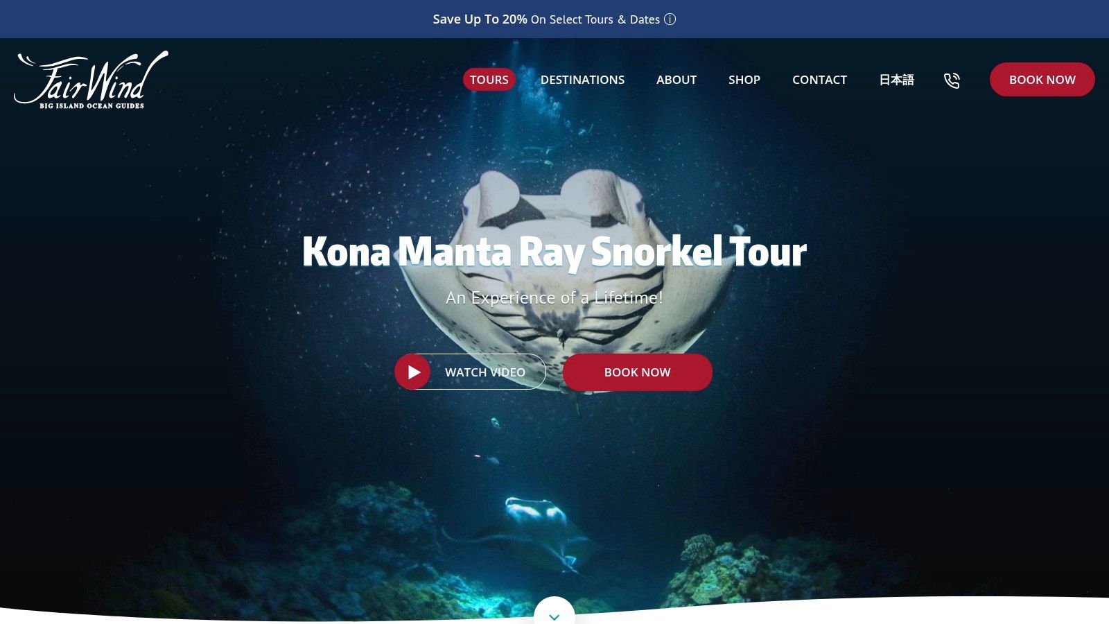 Your Ultimate Guide to the 12 Best Manta Ray Snorkel Kona Tours (2026)