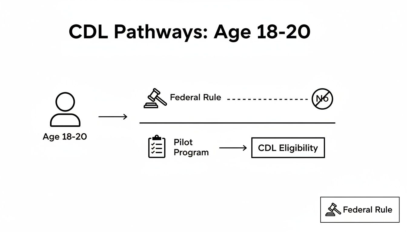 Explore cdl license age: Key Facts for Truck Drivers - PatriotCDL