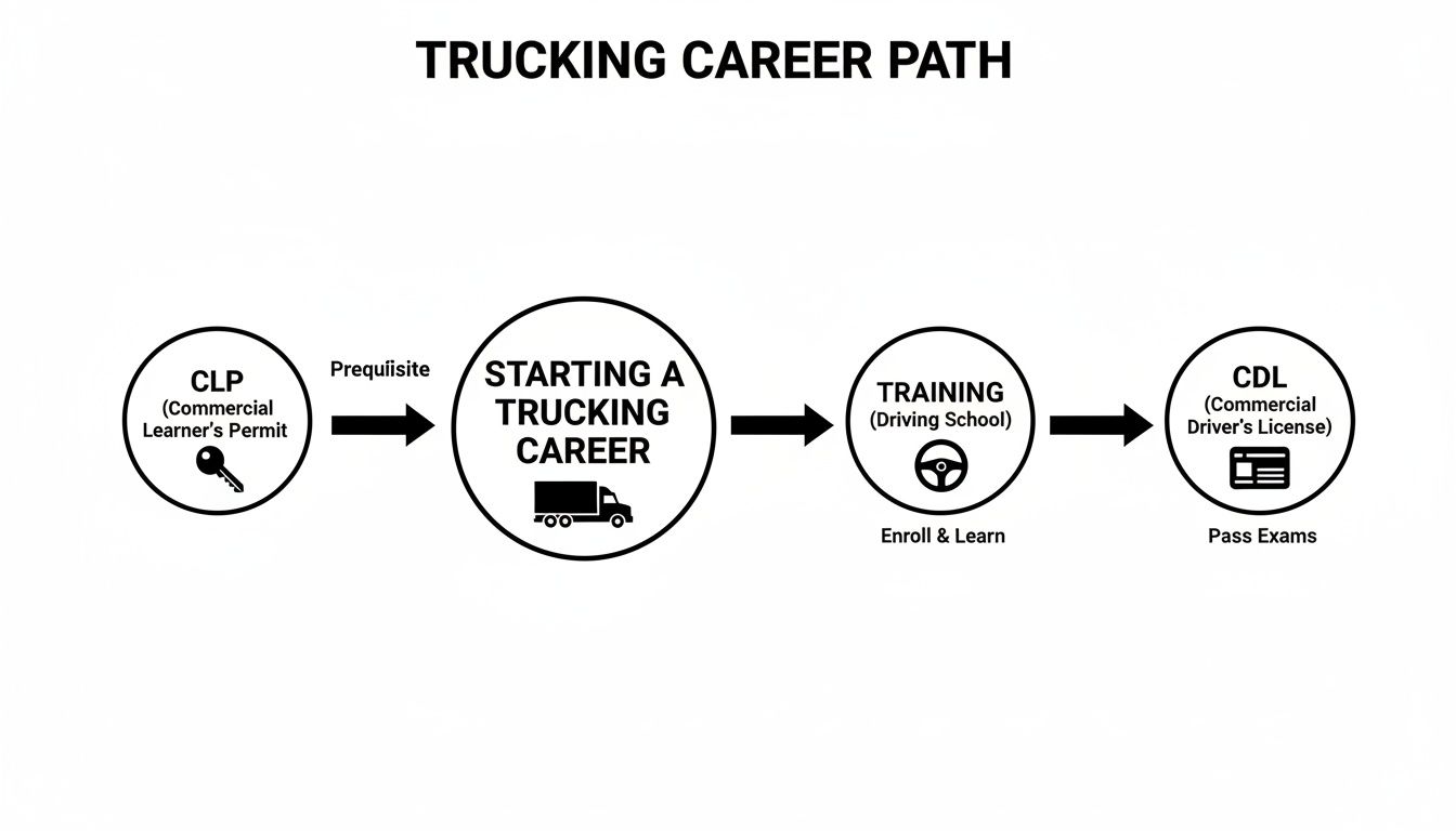 What Is a CLP and How Do You Get One - PatriotCDL