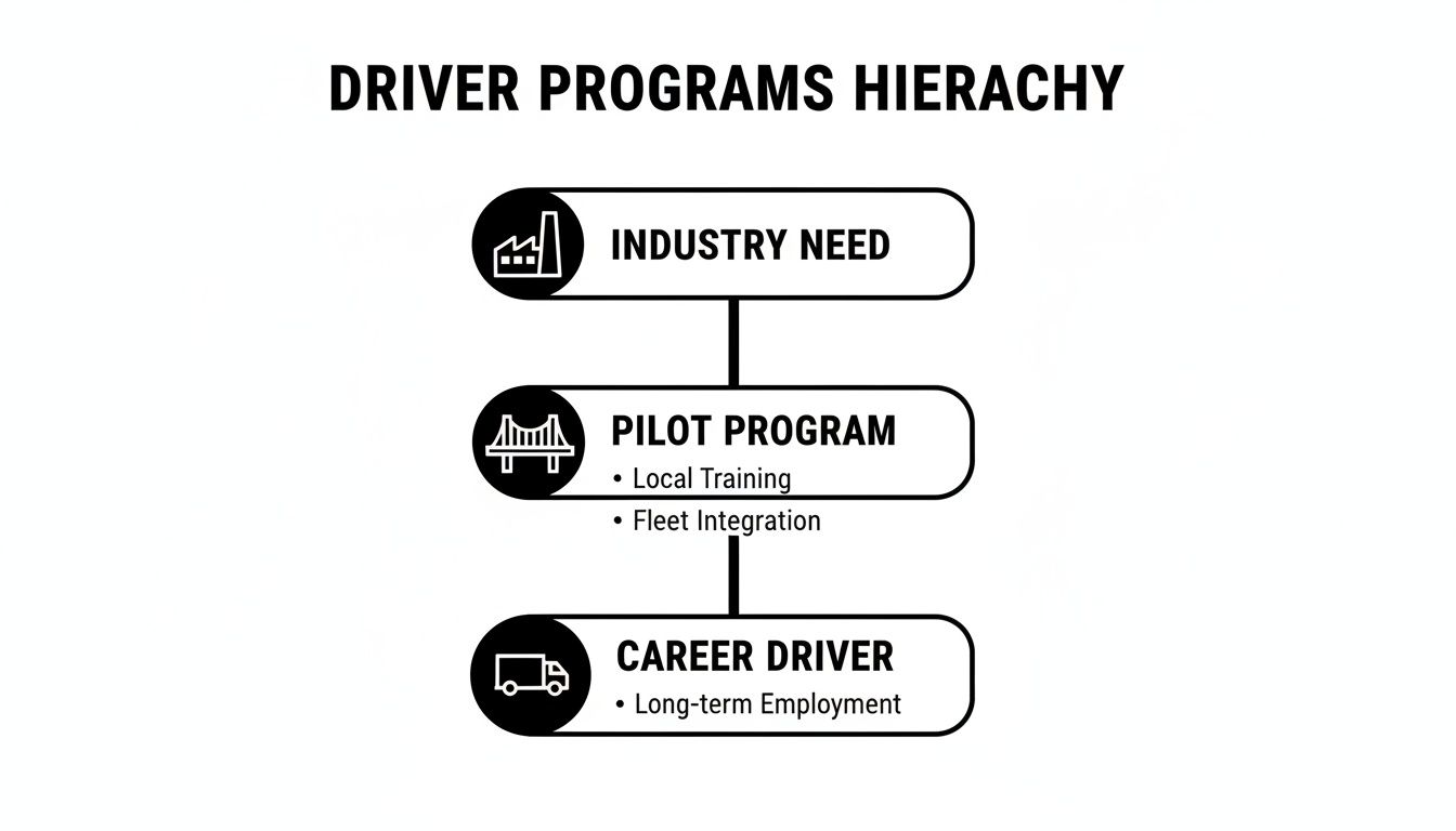 What Is the Age for CDL Your Guide to Trucking Requirements - PatriotCDL