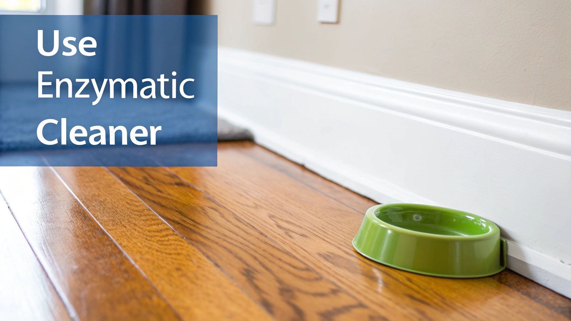Best Hardwood Floor Cleaner for Pet Urine: Top Picks for Safe, Odor ...