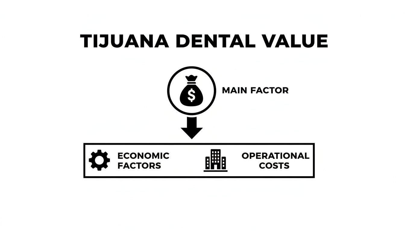 Porcelain Veneers Tijuana Price 2026 Per Tooth: A Complete Guide ...
