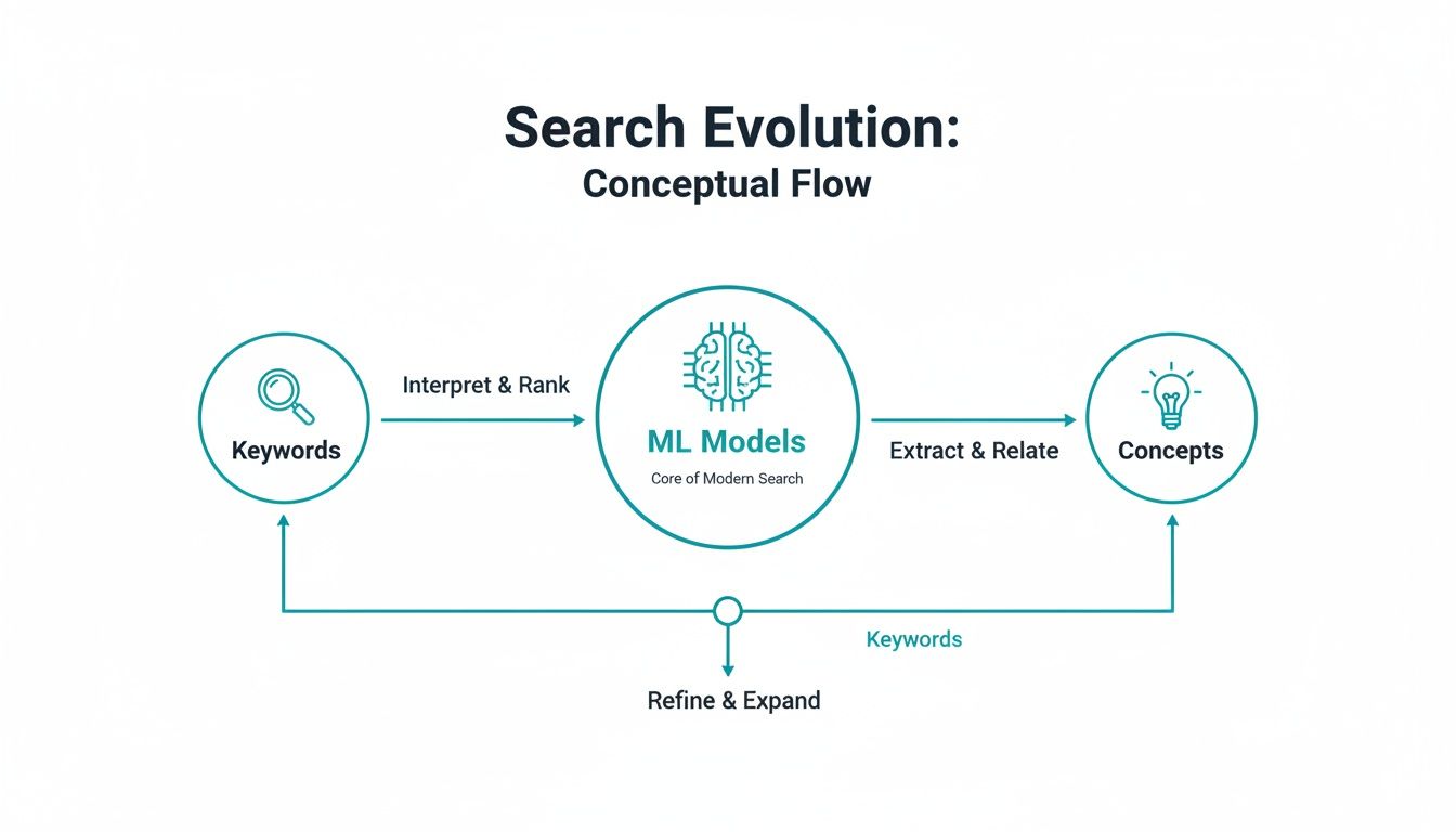 What is Vector Search and How It Powers Modern AI - DocsBot AI