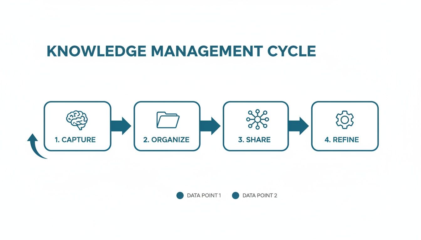 Mastering the Knowledge Management Cycle to Drive Growth - DocsBot AI