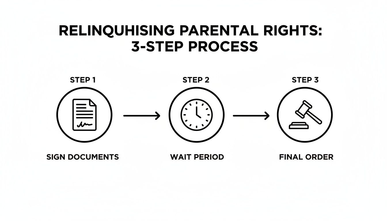 Termination of Parental Rights in Texas: A Compassionate Guide for Families