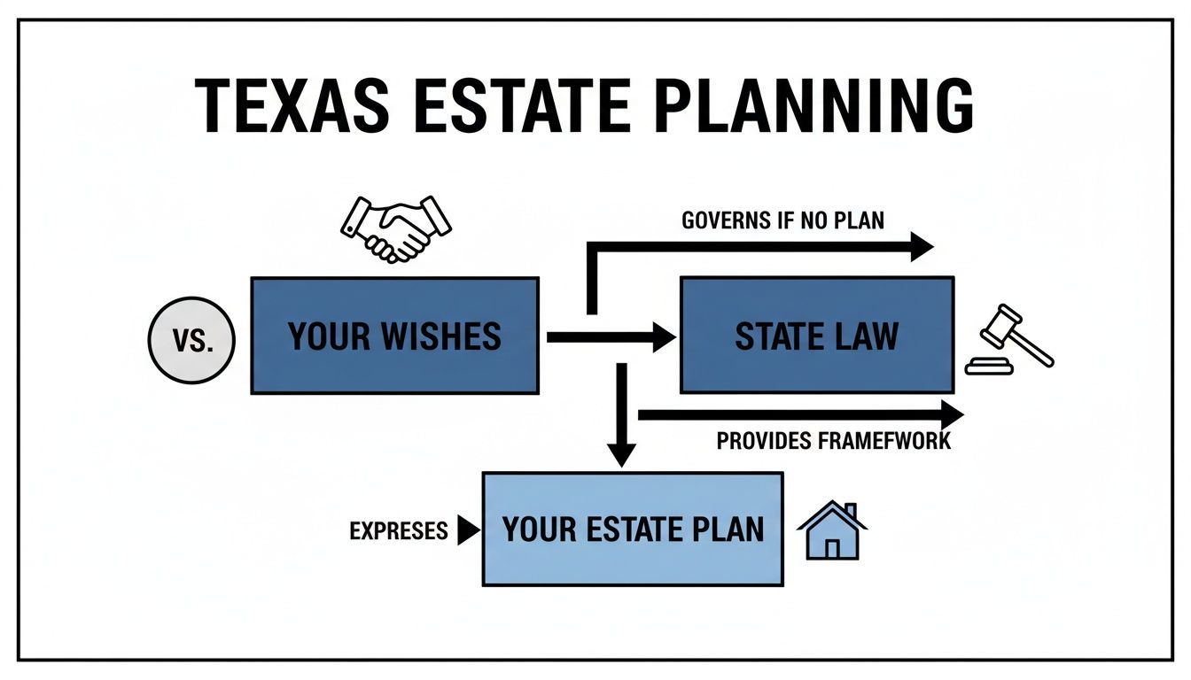 Estate Planning Texas: A Practical Guide to Wills, Trusts & Guardianship