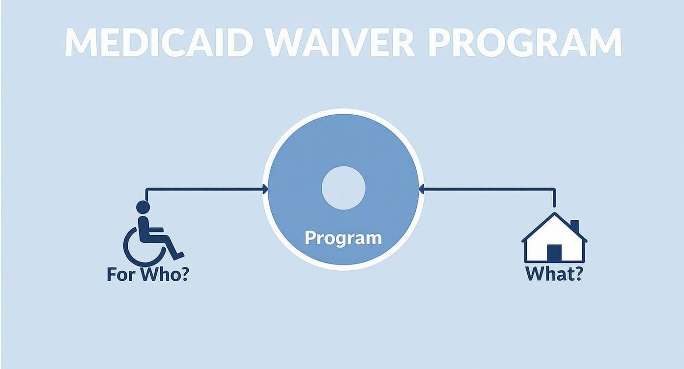 A Guide to the Medicaid Waiver Program in Texas