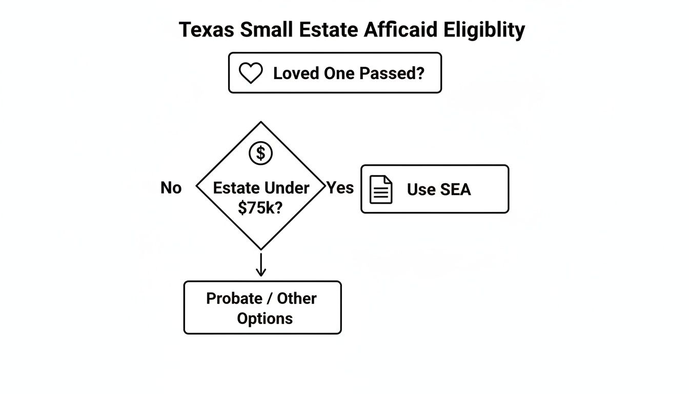 Texas Small Estate Affidavit Form: A Compassionate Guide for Families